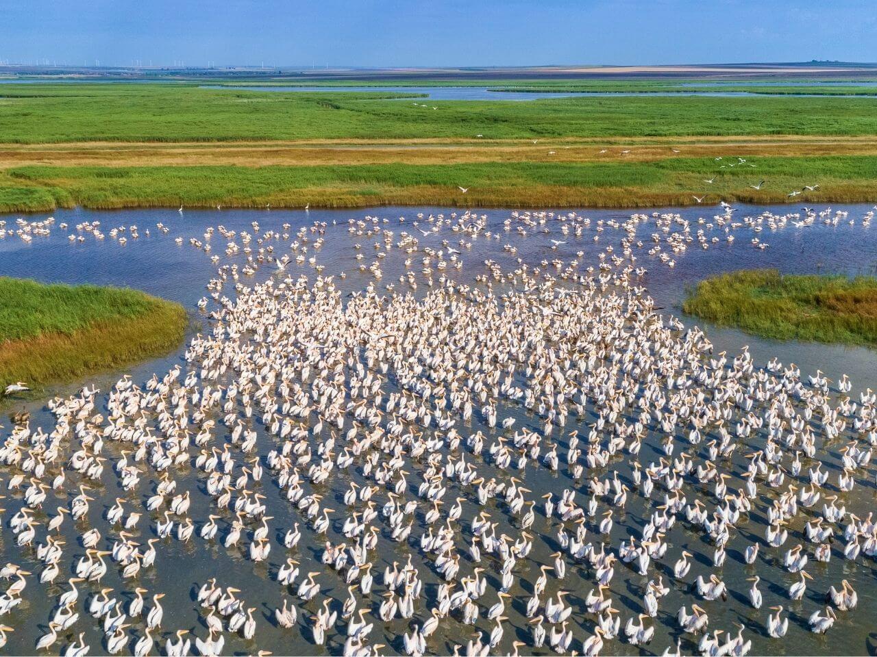 Wycieczka do Rumunii (Delta Dunaju) - Rybacka przygoda na Dunaju - Cena ...